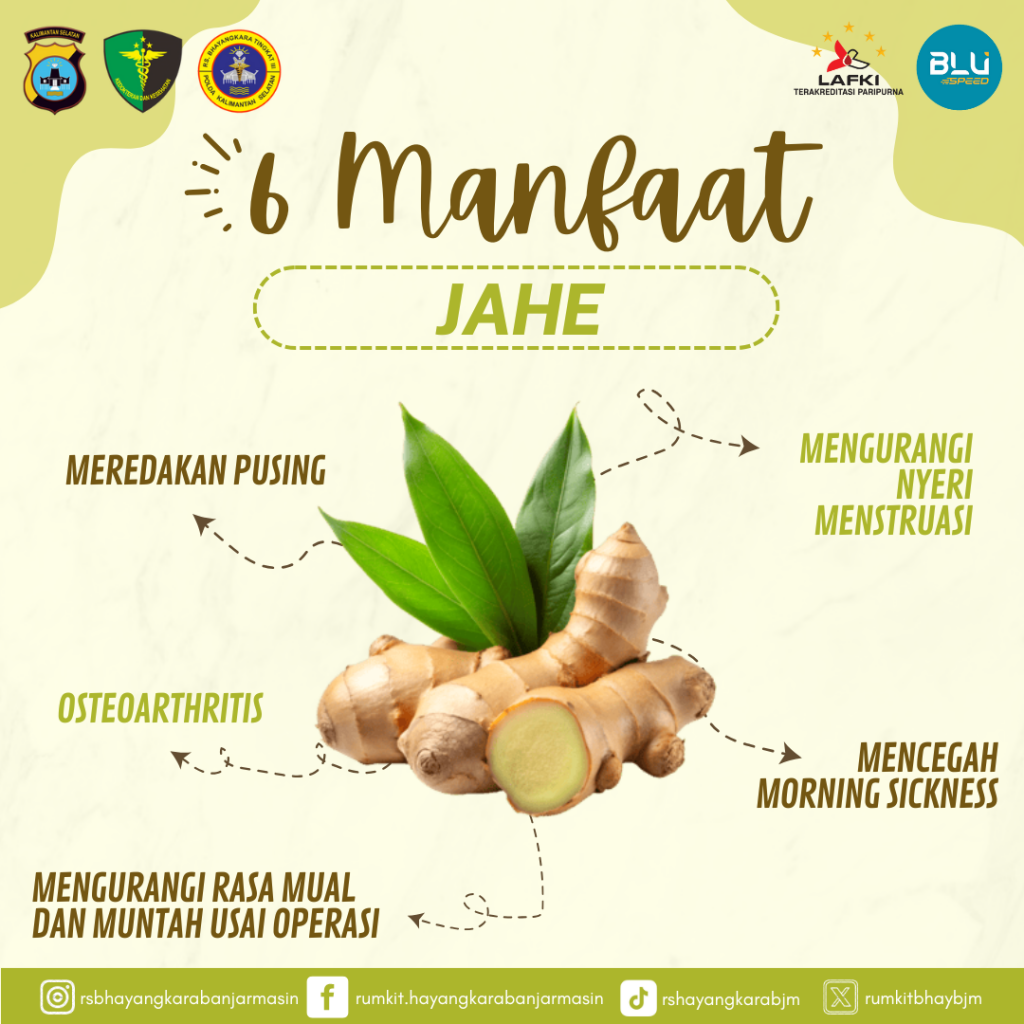Apa Itu Jahe - RS BHAYANGKARA TINGKAT III BANJARMASIN
